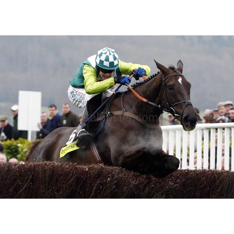 Denman | Horse Racing Posters | TotalPoster